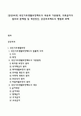 [공공부조] 국민기초생활보장제도의 내용과 기본원칙 의료급여의 범위와 문제점 및 개선방안 공공부조제도의 쟁점과 과제-1페이지