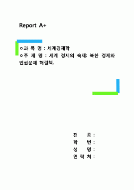 세계경제학)세계 경제의 숙제 - 북한 경제와 인권문제 해결책-1페이지