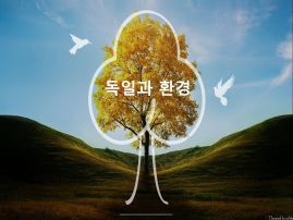 환경국가 독일환경교육 독일환경정책거시적인 환경정책Freiburg 에너지 자립태양광 발전원자력 에너지-1페이지