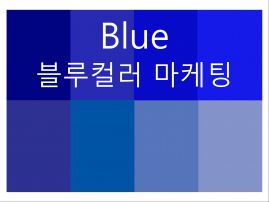 Blue 블루컬러 마케팅-1페이지