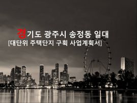 대단위 주택단지 구획 사업계획서-1페이지