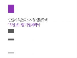 안양시 최초의 도시형 생활주택‘유일 보노빌’ 사업계획서-1페이지