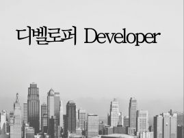 디벨로퍼 Developer-1페이지