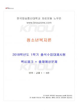 2018년 1학기 청소년복지론 출석대체시험 핵심체크-1페이지