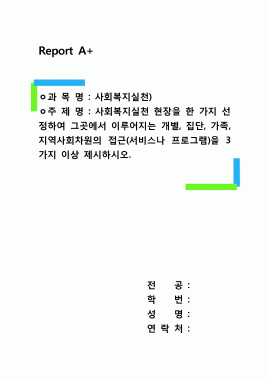 사회복지실천)사회복지실천 현장을 한 가지 선정하여 그곳에서 이루어지는 개별 집단 가족 지역사회차원의 접근(서비스나 프로그램)을 3가지 이상 제시하시오-1페이지