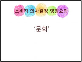 대중문화의 정의대중문화 관련 이론대중문화의 소비자외국의 대중문화대중문화의 영향력-1페이지