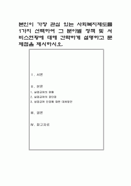 본인이 가장 관심 있는 사회복지제도를 1가지 선택하여 그 분야별 정책 및 서비스현황에 대해 간략하게 설명하고 문제점을 제시하시오-1페이지