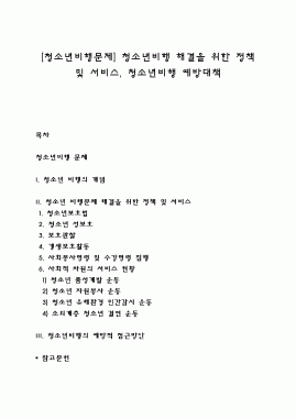 [청소년비행문제] 청소년비행 해결을 위한 정책 및 서비스 청소년비행 예방대책-1페이지