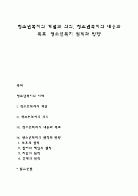 청소년복지의 개념 의의 청소년복지의 내용과 목표 원칙과 방향-1페이지