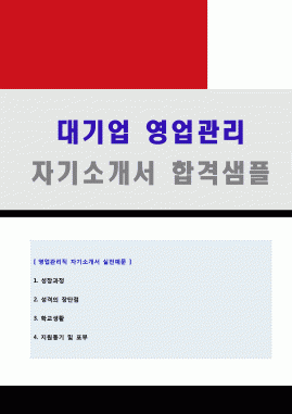 (영업관리직 자소서 + 이력서양식) 2019년 대기업 영업관리직 자기소개서 합격샘플 [영업기획직 영업직 자소서 자기소개서 영업관리직 자기소개서]-1페이지