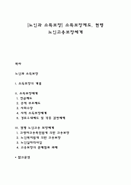 [노인과 소득보장] 소득보장제도 현행 노인고용보장체계-1페이지