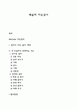 웩슬러 지능검사-1페이지