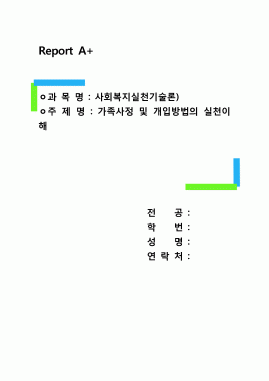 사회복지실천기술론)가족사정 및 개입방법의 실천이해-1페이지