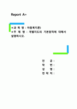 아동복지론)개별지도의 기본원칙에 대해서 설명하시오-1페이지