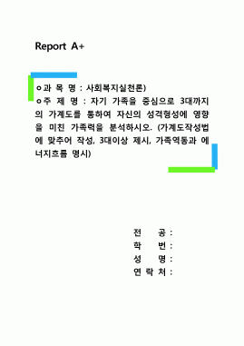 사회복지실천론 ) 자기 가족을 중심으로 3대까지의 가계도를 통하여 자신의 성격형성에 영향을 미친 가족력을 분석하시오 (가계도작성법에 맞추어 작성 3대이상 제시 가족역동과 에너지흐름 명시)-1페이지