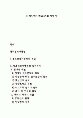 우리나라 청소년복지행정-1페이지