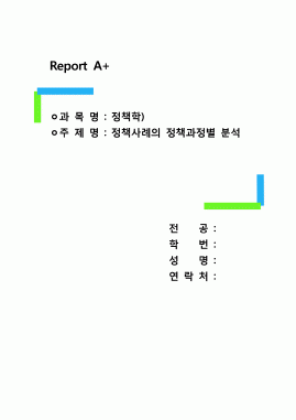 정책학 ) 정책사례의 정책과정별 분석-1페이지