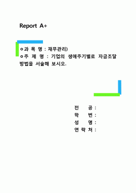 재무관리 ) 기업의 생애주기별로 자금조달 방법을 서술해 보시오-1페이지