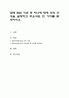 국제 NGO 기관 중 하나에 대해 조직 구성을 설명하고 주요사업 한 가지를 분석하시오-1페이지