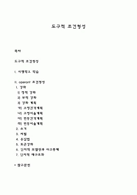 도구적 조건형성-1페이지