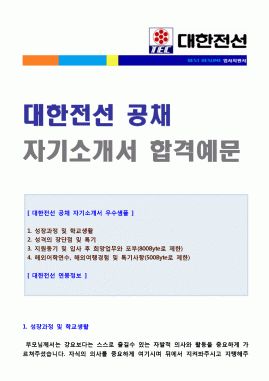 [2019년 대한전선 자기소개서] 대한전선 공채 자기소개서 합격예문 (대한전선 합격자소서/대한전선 자기소개서/지원동기 대한전선 자소서 자기소개서)-1페이지