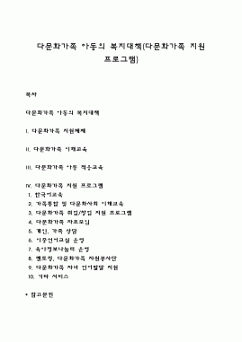 다문화가족 아동의 복지대책(다문화가족 지원 프로그램)-1페이지