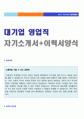 (영업직 자소서 + 이력서양식) 2019년 대기업 일반영업직 자기소개서 모범예문 [영업직 자소서 자기소개서영업관리직 자기소개서지원동기]-1페이지