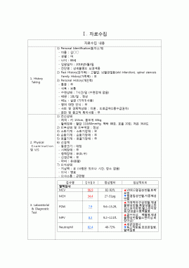 케이스스터디[뇌경색] 간호진단3개-1페이지