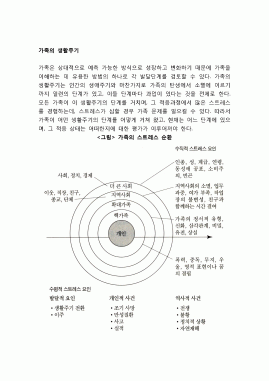 가족생활주기 가족의 스트레스 순환-1페이지