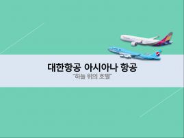 대한항공아시아나 항공항공시장분석대한항공 아시아나항공 마케팅사례대한항공 아시아나항공의 문제점세계항공산업분석국가별 항공운송 변화-1페이지