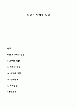 노년기 사회성 발달-1페이지