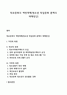 학교중퇴의 예방대책(청소년 학업중퇴 문제의 대책방안)-1페이지