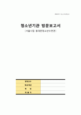 방송통신대학교 청소년육성제도론 청소년기관방문보고서2018년1학기-1페이지