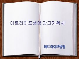 메트라이프 광고 기획서-1페이지