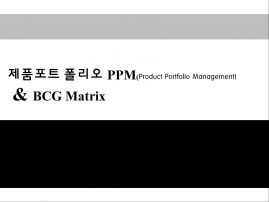 제품포트 폴리오 PPM(Product Portfolio Management) & BCG Matrix-1페이지