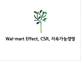 Wal-mart effet CSR & 지속가능경영-1페이지