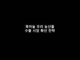 흑마늘 우리 농산물 수출시장 확산전략-1페이지