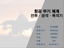 항공무기체계-1페이지