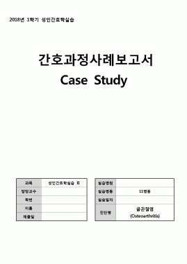 관절염 사례보고서-1페이지