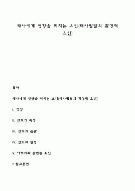 태아에게 영향을 미치는 요인(태아발달의 환경적 요인)-1페이지