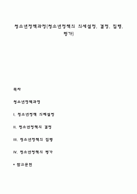 청소년정책과정(청소년정책의 의세설정 결정 집행 평가)-1페이지