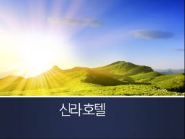 호텔서비스의 정의서울 신라호텔 마케팅제주 신라호텔신라호텔의 서비스신라호텔의 SWOT리츠칼튼 호텔의 SWOT-1페이지