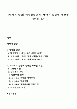 [태아기 발달] 태아발달단계 태아기 발달에 영향을 미치는 요인-1페이지