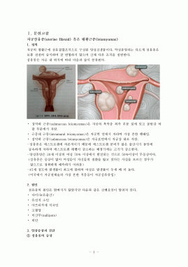 간호학 자궁근종 케이스(모성간호학성인간호학케이스스터디-1페이지