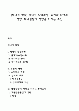 [태내기 발달] 태내기 발달과정 유전과 환경의 영향 태내발달에 영향을 미치는 요인-1페이지