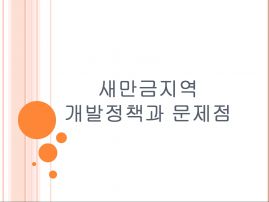 새만금지역 개발정책과 문제점-1페이지