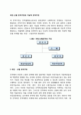 라인-스텝 조직구조와 기능적 조직구조-1페이지