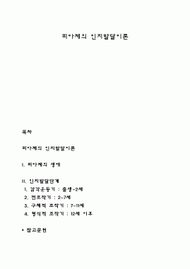 [사회과학] 피아제의 인지발달이론에 대하여 직접 요약한 보고서 자료입니다.-1페이지