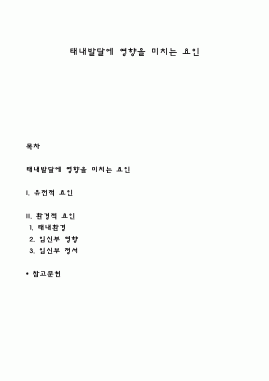 [사회/과학] 태내발달에 영향을 미치는 요인 -1페이지