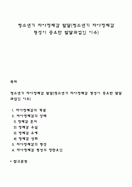 청소년기 자아정체감 발달(청소년기 자아정체감 형성이 중요한 발달과업인 이유)-1페이지